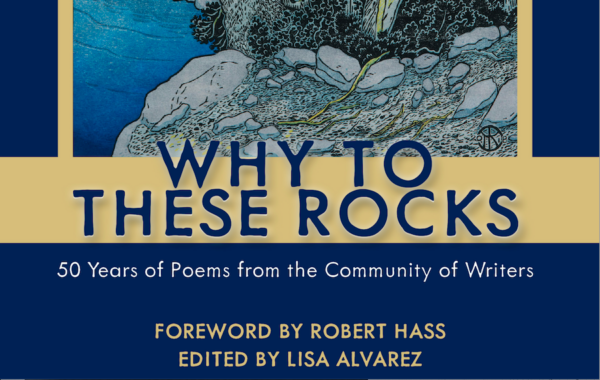 Important Information : Why To These Rocks, Book Launch Event ...